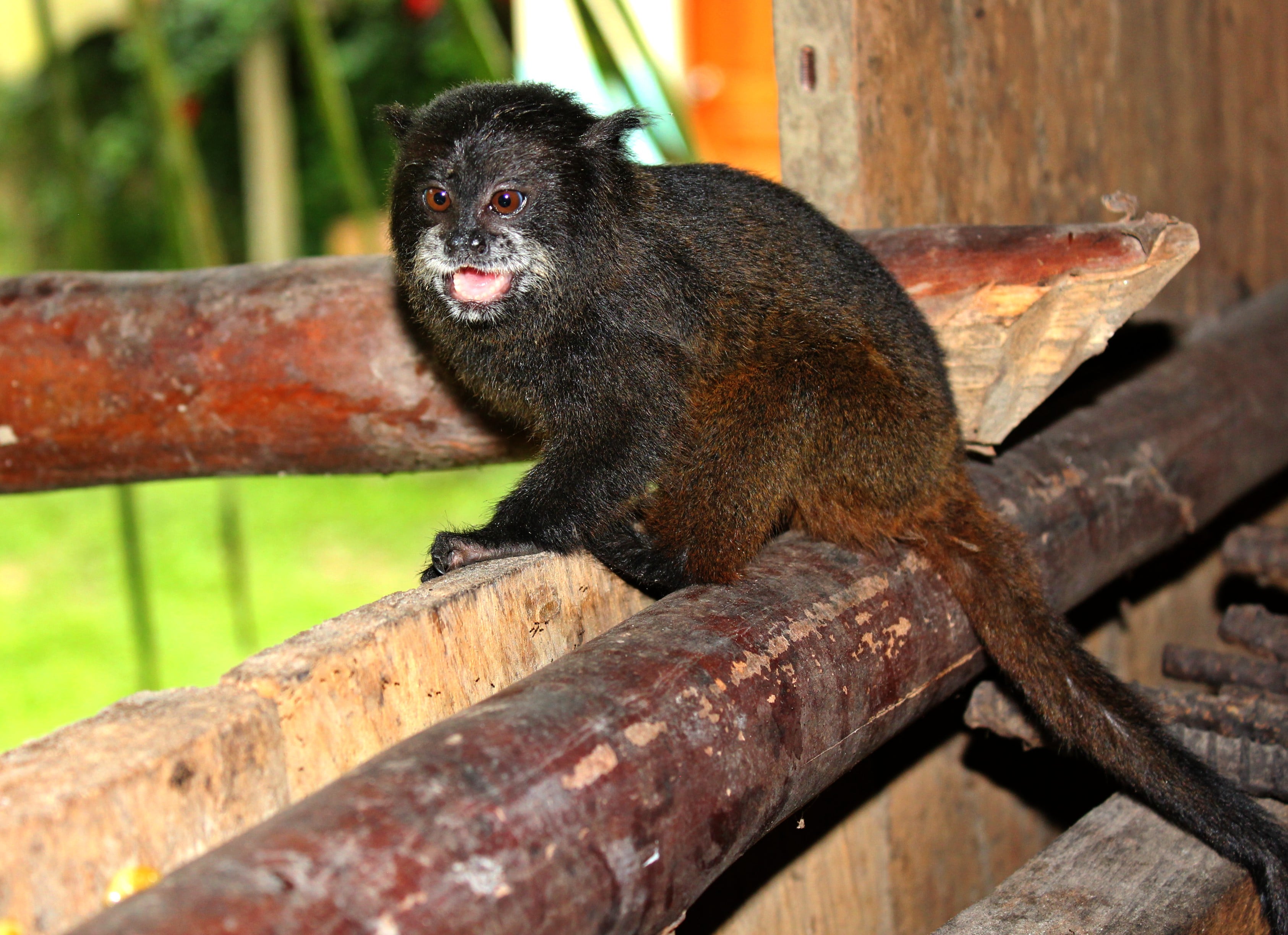 Communiqué de presse: Des communautés locales capturent des images ...