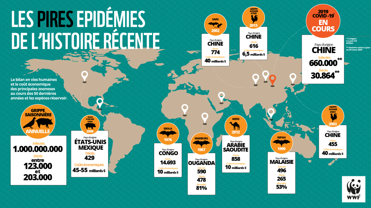 Communiqué de presse: Un rapport du WWF met en évidence le lien entre ... Communiqué de presse: Un rapport du WWF met en évidence le lien entre ...