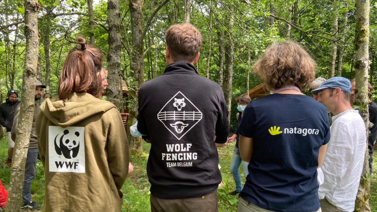 La Wolf Fencing Team fait ses premiers pas en Wallonie ! | WWF Belgique