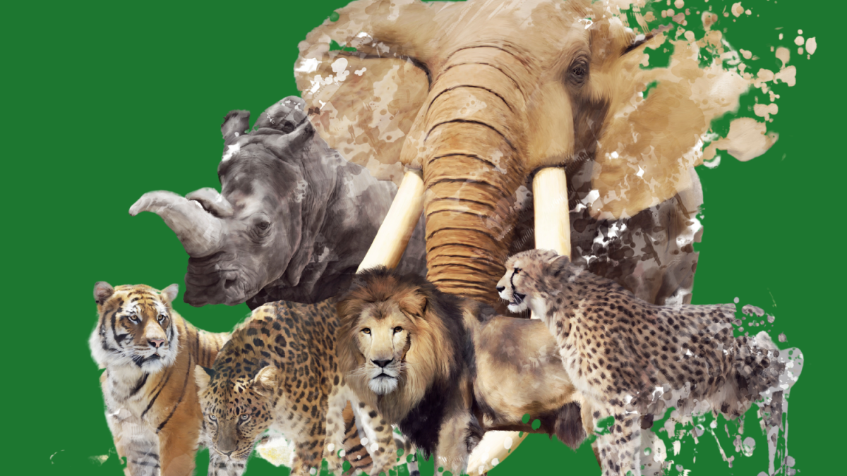 KalenDieren | WWF België